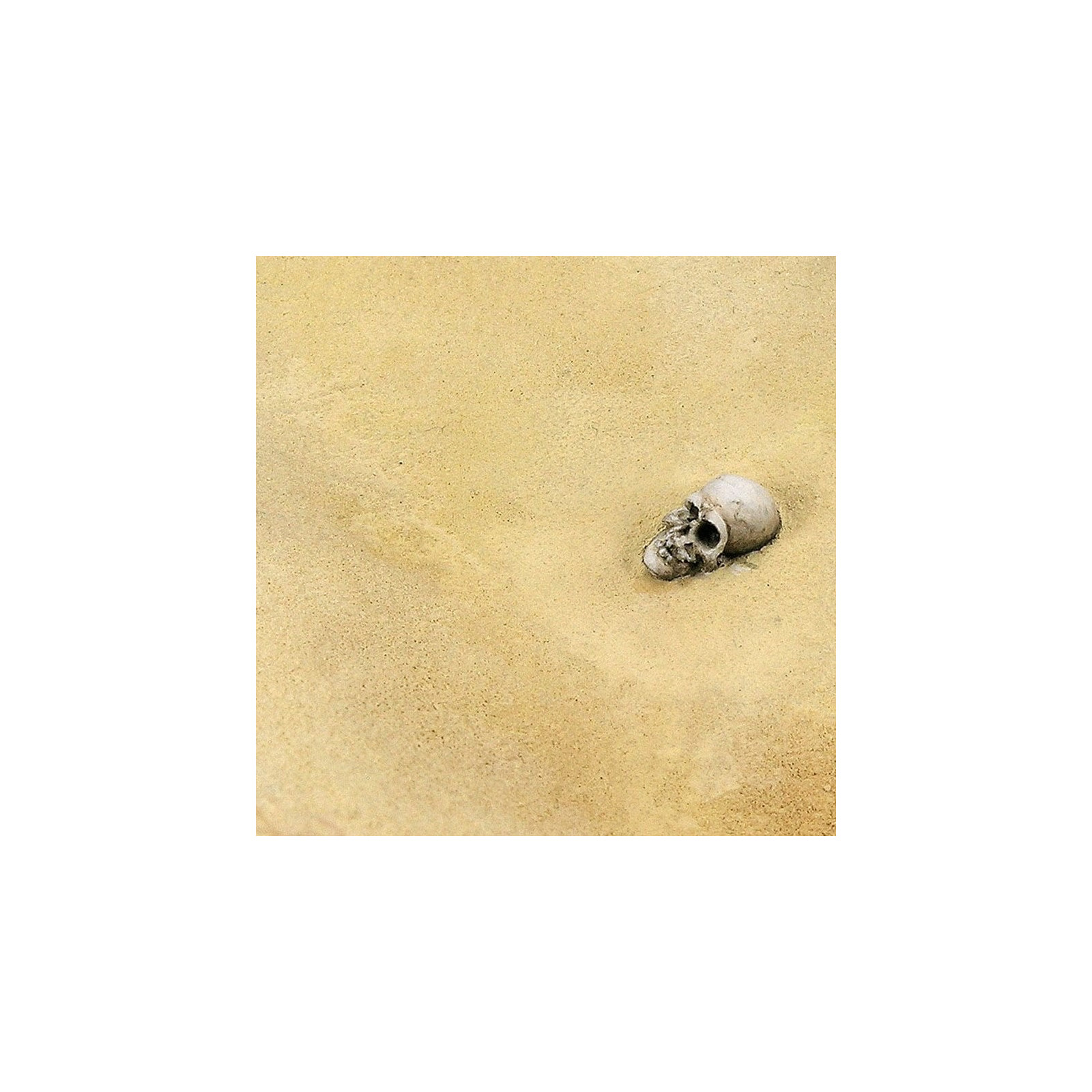 TERRAINS DESERT SAND - 250ml