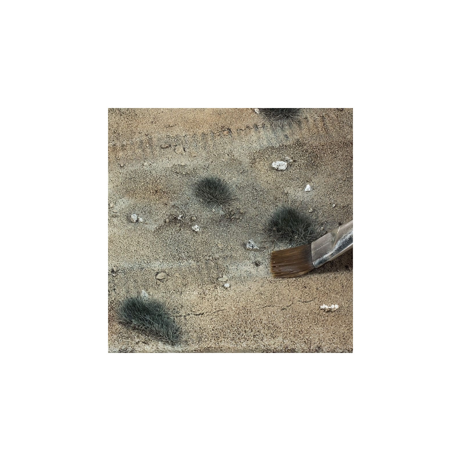 TERRAINS DRY GROUND - 250ml