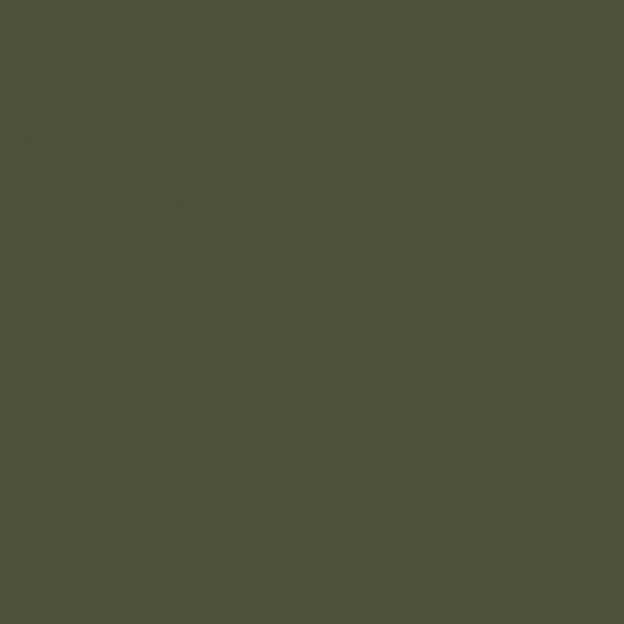 Vert Moyen - Prince August Air