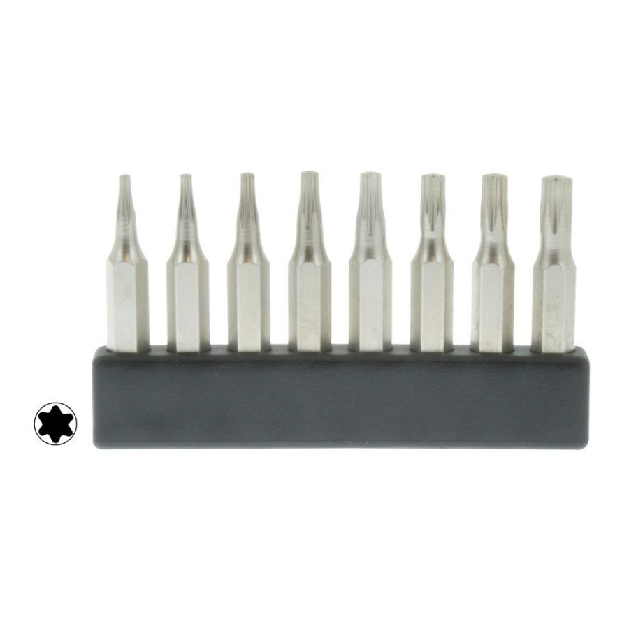 10 Mini Bits embout Torx